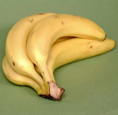 Banana fruit nutrition facts – Nutrition, Health & Wellness