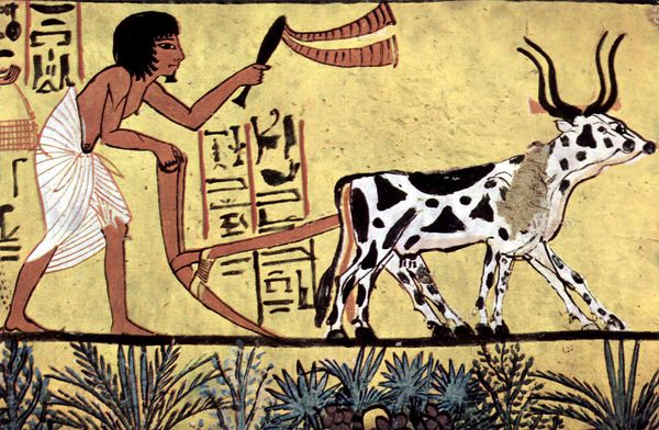 History of agriculture - Wiki Farming